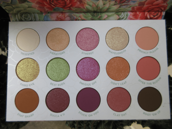Colourpop Garden Variety, Sailor Moon, and Mulan Collections – Lili's ...
